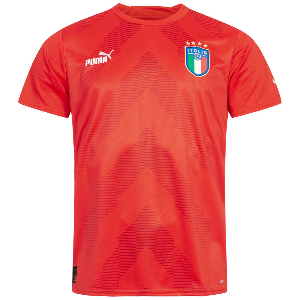 Italy FIGC PUMA Men Goalkeeper Jersey 765664-05