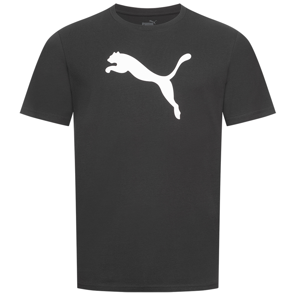 PUMA teamRISE Logo Mężczyźni T-shirt 658705-03 | sportrabat.pl